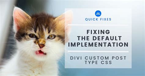 Customize Divi Custom Post Types Default Css