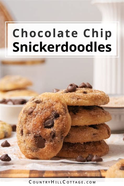 Chocolate Chip Snickerdoodles
