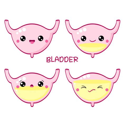 180 Bulging Bladder Ilustração De Stock Gráficos Vetoriais E Clipart