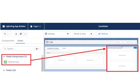 Complete Guide To The 1 Salesforce Feature The Dynamic Forms Areya