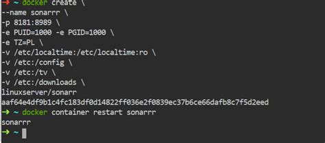 Installing Sonarr In Docker Container Home Assistant Os Home Assistant Community