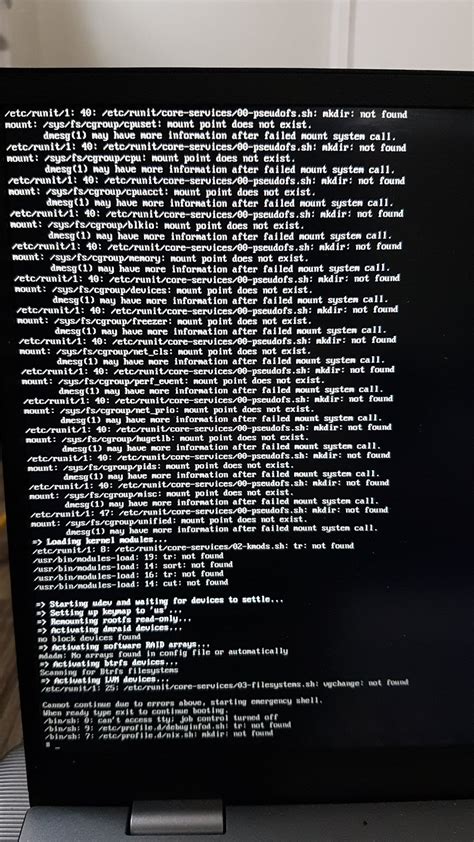 Suddenly Runit Core Services Fails On Boot Rvoidlinux