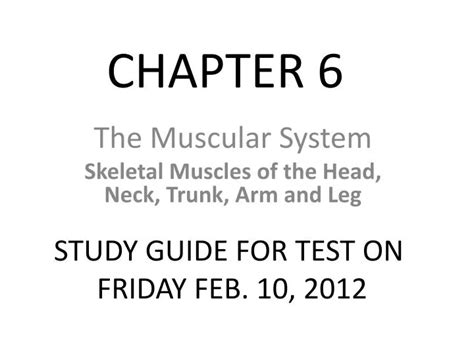 PPT CHAPTER 6 PowerPoint Presentation Free Download ID 2023599