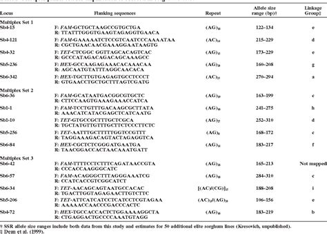 Subsynaptic Reticulum Semantic Scholar
