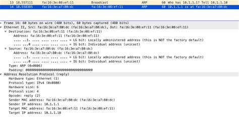 Understanding ARP Networks Learning