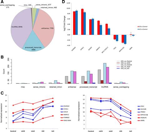 Gencode V 15 Annotation Of The Total Differentially Expressed Lncrnas Download Scientific