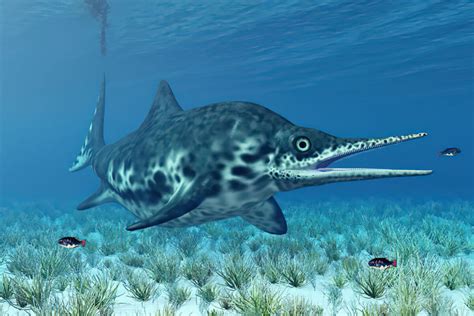 Спинозавр (Spinosaurus) — фото, описание, размеры, среда обитания ...