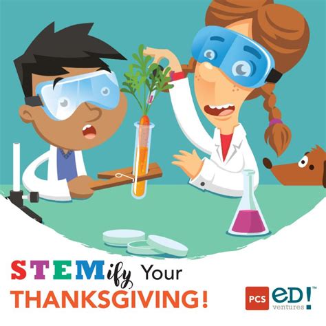 Pcs Edventures On Linkedin Encourage Learners To Search For The Stem