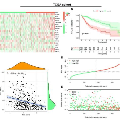 Prognostic Values Of The Immune Related Gene Signature In The Cancer