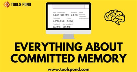 Everything You Should Know About Committed Memory Tools Pond