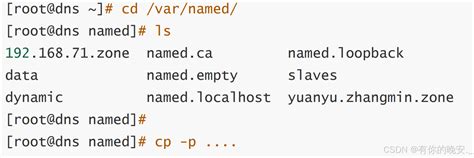 dns的反向解析 dns反向解析 csdn博客