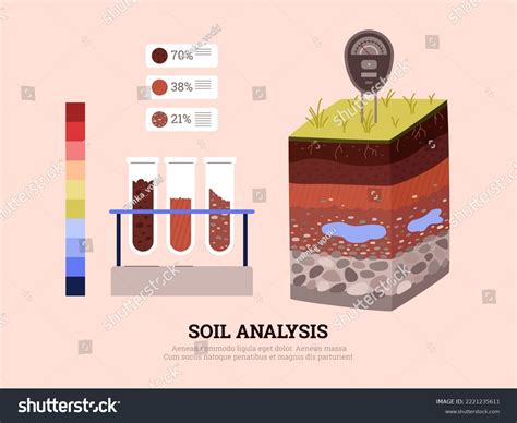 33 244 Insects Soil Images Stock Photos Vectors Shutterstock