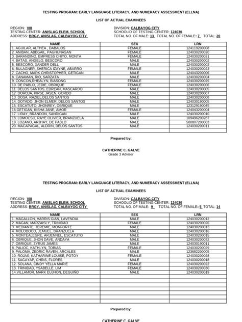 Testing Program Pdf Reading Process Learning