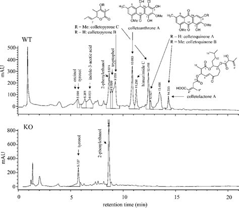 Hplc Profiles And Secondary Metabolites Identified In Culture Filtrates Download Scientific