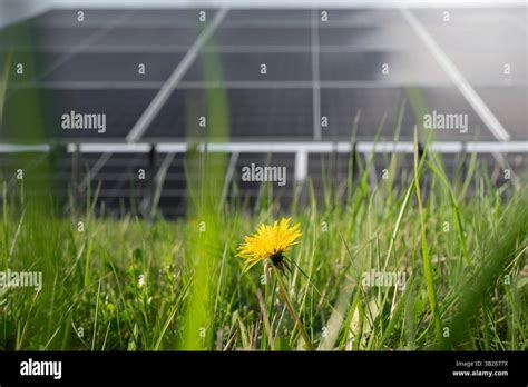 Solar Panels Photovoltaic Power Station Alternative Source Of Electricity Green And Clean