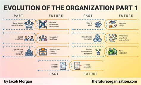 Evolution Of The Organization Part 1