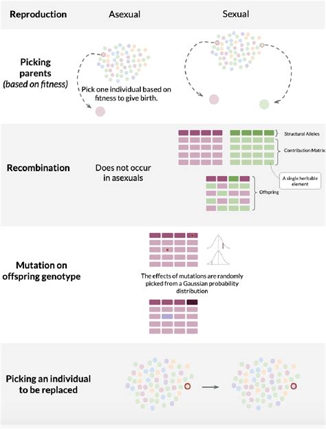 Figure 21 From The Effects Of Temporal Heterogeneity In Genetic Covariance The Effects Of