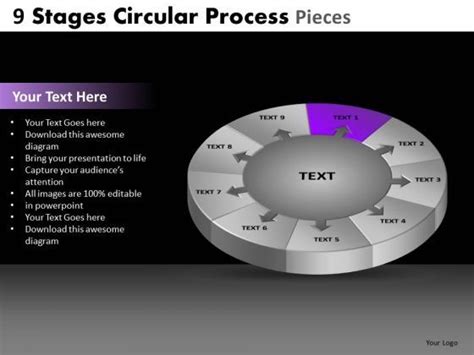 PowerPoint Slide Education Circular Ppt Process
