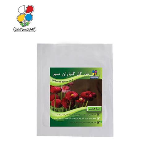 بسته 24 عددی بذر گل مینا چمنی بسته بندی بزرگ