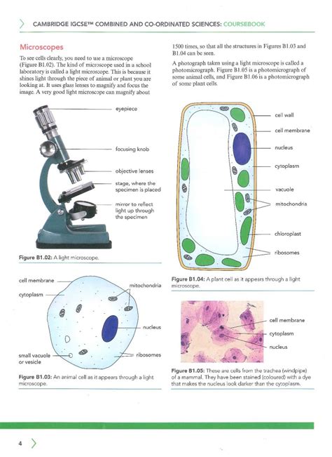 Pdf Combined And Co Ordinated Sciences For Cambridge Igcse Coursebook 2nd Edition Shop Ngoại