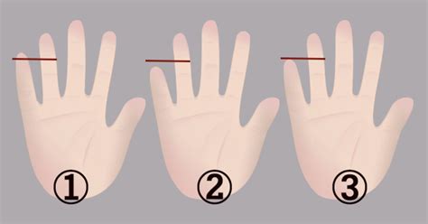 새끼 손가락과 약지 길이에 숨겨진 비밀 인생사전