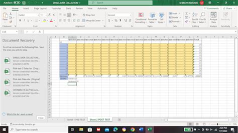 Do Inputs In Microsoft Excel By Shaishaan Fiverr