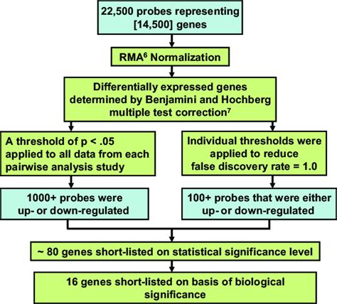 Flowchart Representing The Steps Taken To Analyze Gene Expression Data