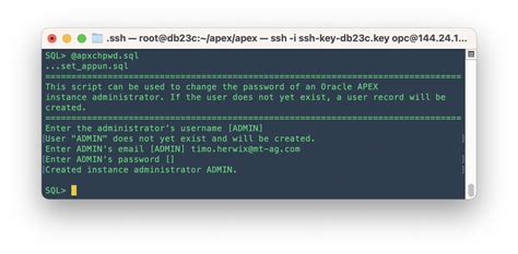Quick And Easy Apex And Ords Installation For Oracle Database 23c Developer Release On Oci