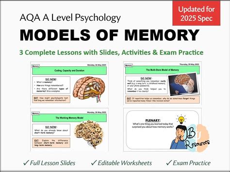MODELS OF MEMORY MINI BUNDLE AQA A Level Psychology Memory Updated For Sept Teaching