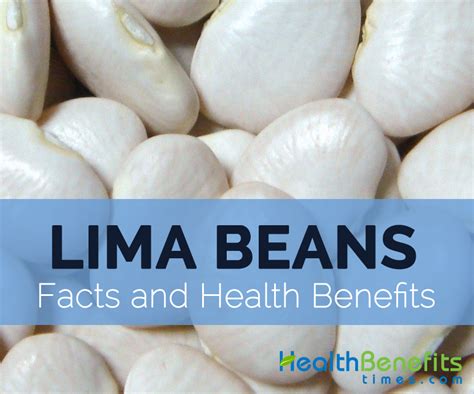 Lima Beans Facts And Health Benefits Health Benefits