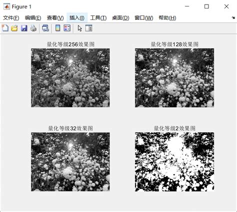 数字图像模型、采样、量化采样和量化对图像质量的影响 Csdn博客