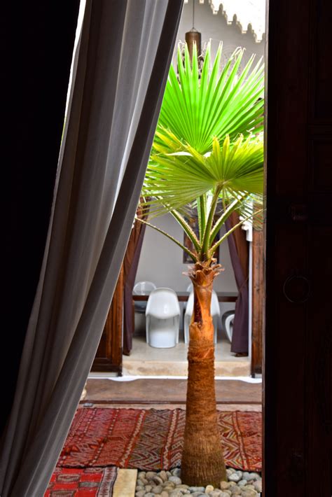 Riad Azahra Un Riad Contemporain Dans La Médina De Rabat