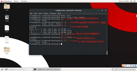12 Linux系统文件管理 Csdn博客