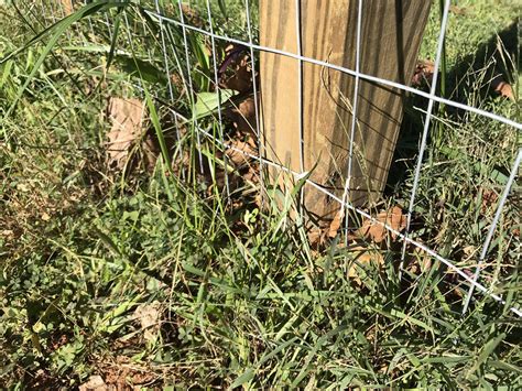 I Learned This Labor Saving Trick For Installing Fence Posts In ConcreteWithout Having To Use