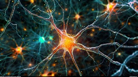 Free Neural Network Art Image | Download at StockCake