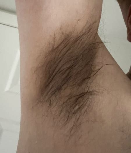 My Ripe Pits Image 4243543 Thisvid Tube My Ripe Pits Image 4243543 Thisvid Tube