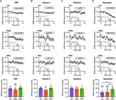 Peptidergic Modulation Of Isolated Afferents A Effect Of Crf 100 Nm