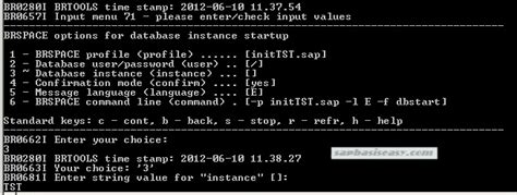 how to startup sap oracle instance using brtools sap basis easy