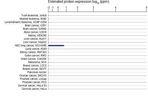 Hcn2 Gene Genecards Hcn2 Protein Hcn2 Antibody