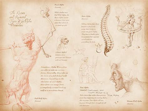 A 32 Page Illustrated Book Of The Supernatural Creatures That Have