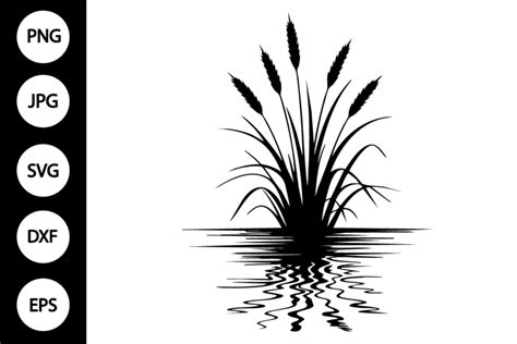 Reed Grass Svg 6357684