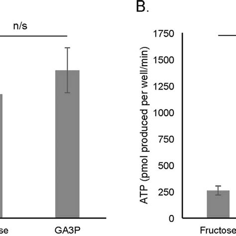 ATP Produced From Substrate Metabolism In Ejaculated Sperm ATP Download Scientific Diagram