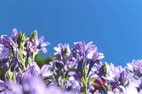 Emilys Experience With Hfcs Natural Conception Program — Hannam