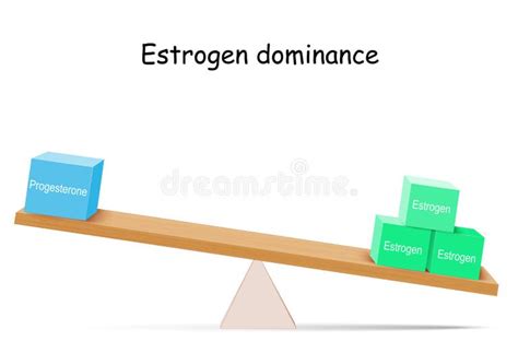 Female Hormone Levels Stock Illustrations 32 Female Hormone Levels