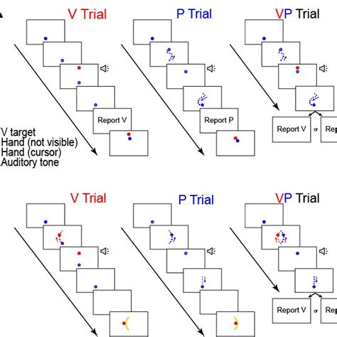 Methods A The Static Estimation Task Involved A Block Of Baseline