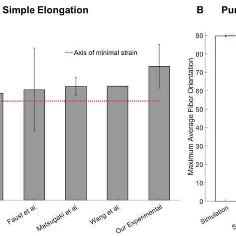 Experimentally Measured Actin Fiber Andor Cell Orientation Compared To Download Scientific
