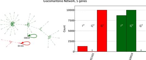 A Novel Quantum Algorithm For Efficient Attractor Search In Gene Regulatory Networks Patterns