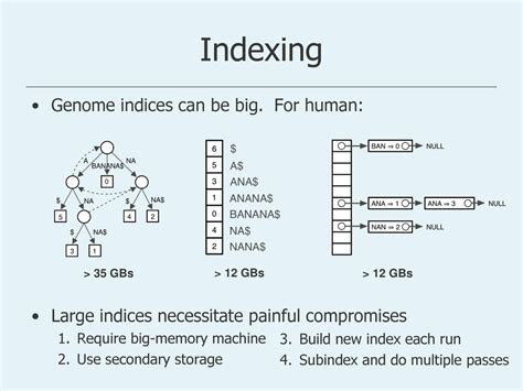Short Read Mapping On Post Genomics Datasets Ppt Download