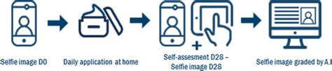 Schematic Representation Of The Digital Hybrid Questionnaire Selfie Download Scientific
