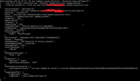 Aws Cli For Serverless Function Management Geeksforgeeks